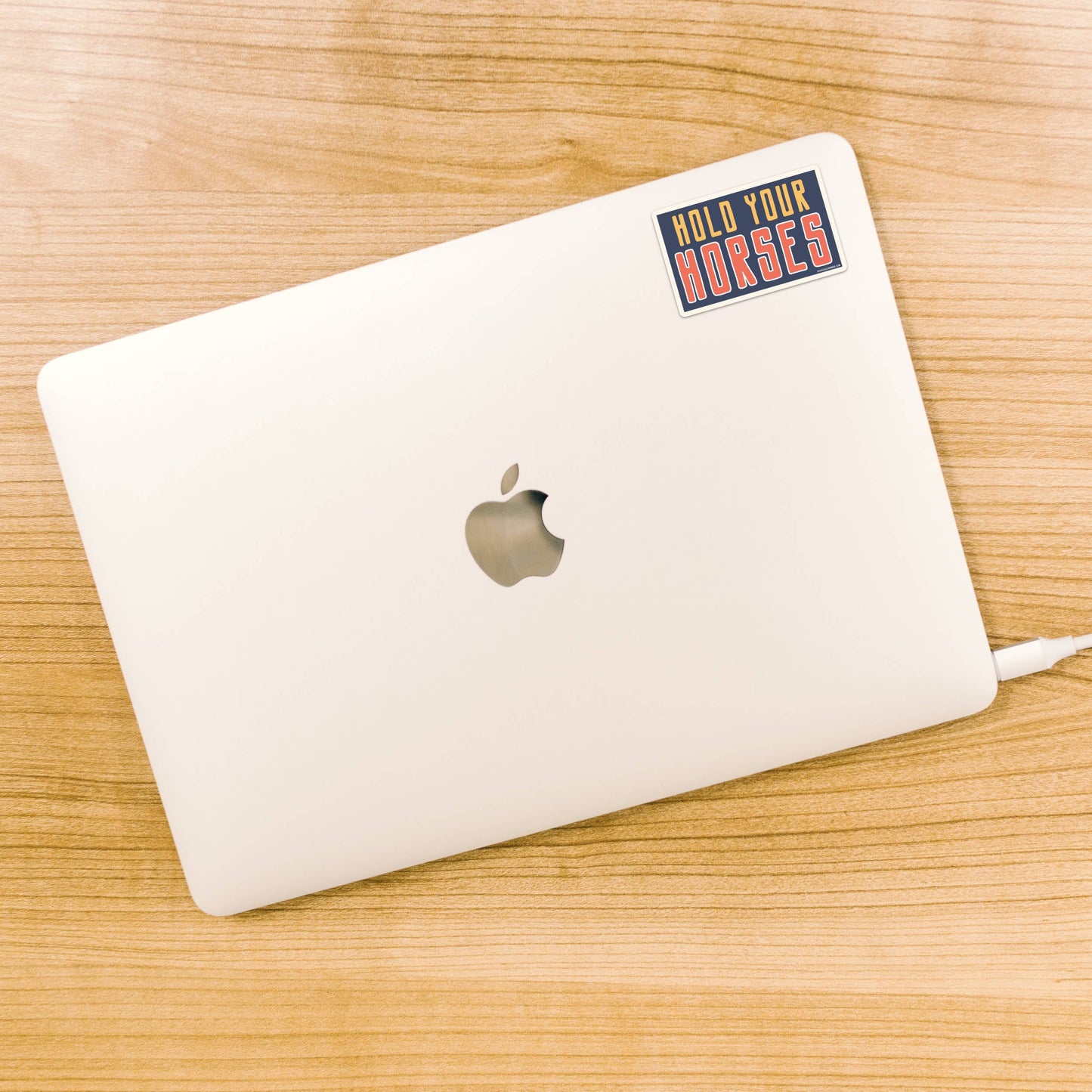Hold Your Horses Sticker – A Little Happy