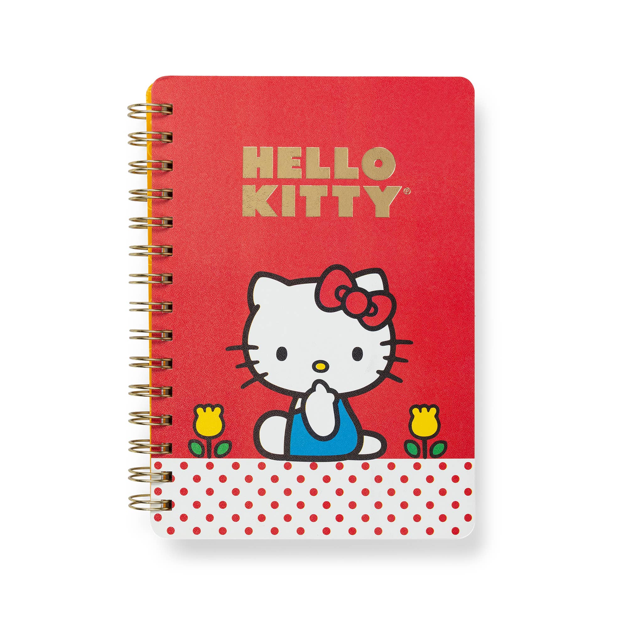 Retro Hello Kitty Agatha Notebook – A Little Happy